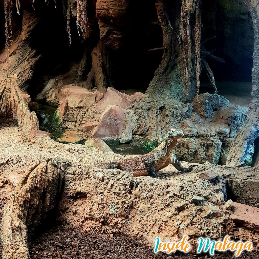 Bioparc Fuengirola | Vad man kan göra i Fuengirola | Blogg Malaga